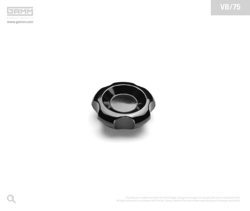VB/75 - GAMM